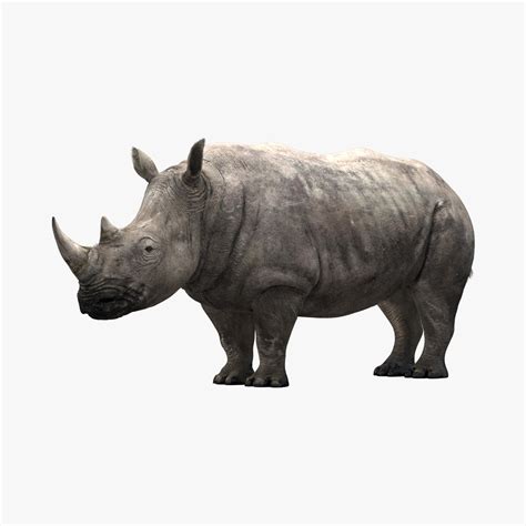 rhino 3d model 39 obj max free3d