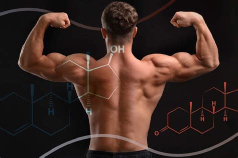 Testosterone Hormone Five Foods To Naturally Boost Testosterone