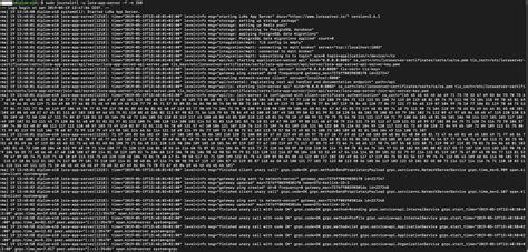 Lets Encrypt Certonly Chirpstack Application Server