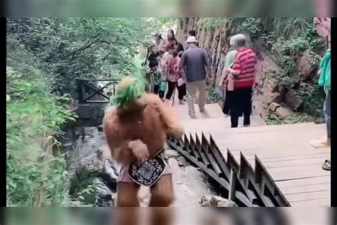 美猴王回花果山了！惹得游客哈哈大笑，争相拍照留念！