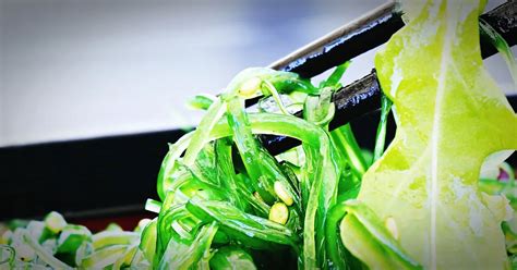 미역 꿈 해몽 10가지 바다 마른 물미역 미역을 씻는 선물받는 미역이 나오는 먹는 자르는 사는 건지는