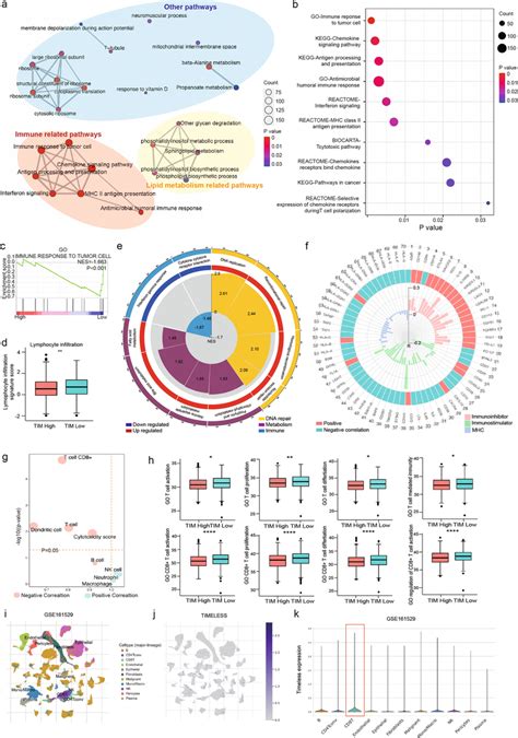 Both Our RNA Seq Data And The Bioinformation Datasets Analyses Showed