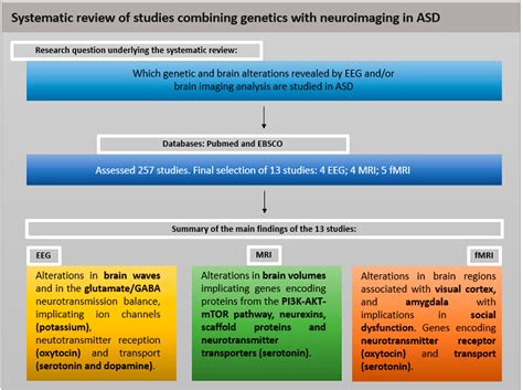 Figure 2 From Bridging Genetic Insights With Neuroimaging In Autism