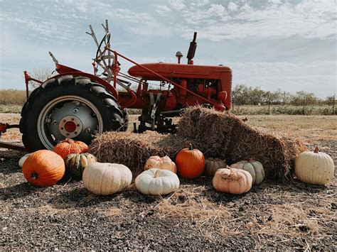 The 8 Best Pumpkin Patches And Corn Mazes In Dallas 2022