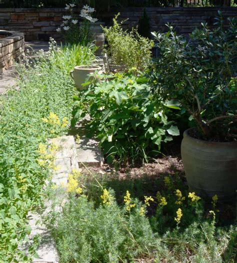 Scripture Garden Garden In Delight