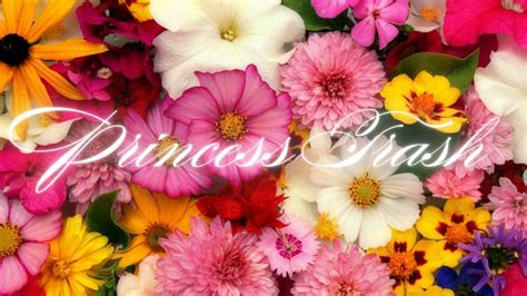 Princess Trash Empress Arwen Clips Sale