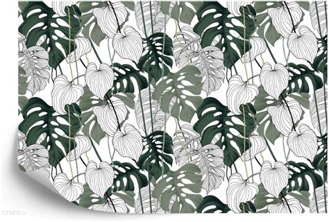 Doboxa Fototapeta Vinyl Strukturalny Liście Monstera X A Opinie i ceny na Ceneo pl