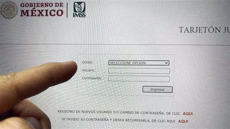 Tarjetón digital IMSS una útil herramienta te decimos qué es y cómo
