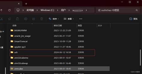 使用git拉取github项目 Csdn博客