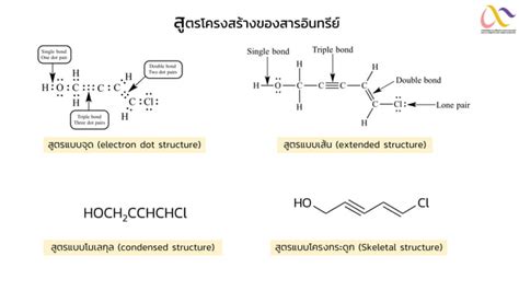 สารอินทรีย์ และหมู่ฟังก์ชัน Organic Compounds And Functional Groups Pdf