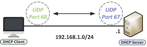 How Dhcp Works Step By Step Guide For Ccna
