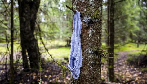 Utro Sex Ved Kjent Turiststed