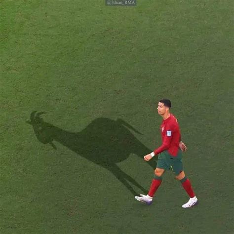 Tcr On Twitter Cristiano Ronaldo Has Scored Fifteen Goals In His