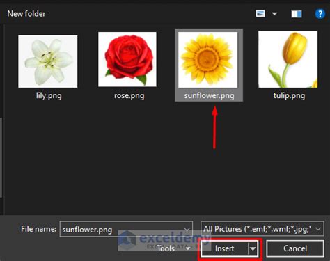 How To Insert Picture Into Excel Cell Methods Exceldemy