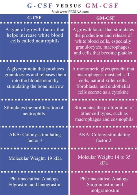 What Is The Difference Between G Csf And Gm Csf Pediaa Com