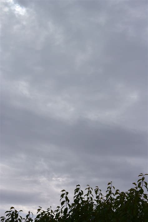 朝8時の東の空気温が低く曇りが多くて日照時間が40分ぐらいしかなかった1週間 kabukumono執行雅臣のブログファッション界の