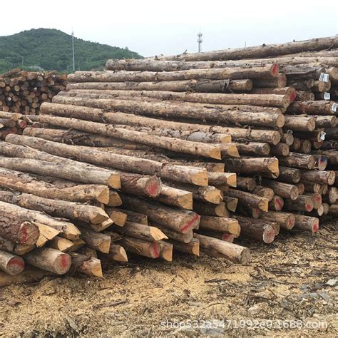 厂家批发湿地松落叶松原木桩河道防汛打桩松木桩工地建筑用松木桩 阿里巴巴
