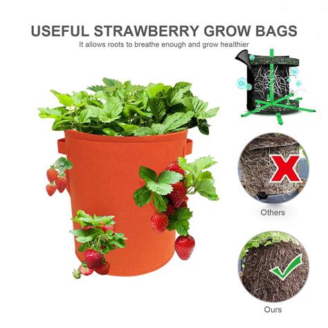 10 Gallon Strawberry Grow Bags With 8 Grow Pouches Planter Box