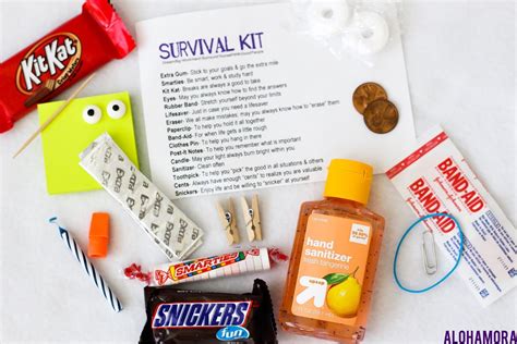 Alohamora Open A Book High School Graduate Diy Survival Kit Diy Craft T
