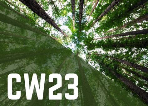 Announcing the full CW23 programme | Software Sustainability Institute
