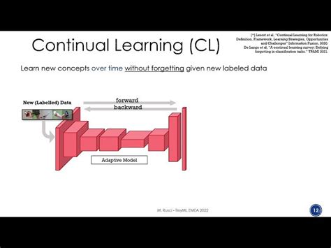 Free Video Continual On Device Learning On Multi Core Risc V