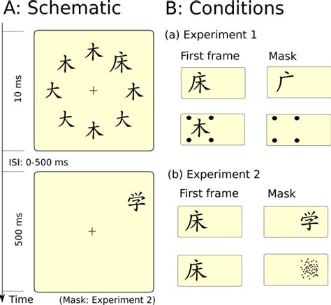experimental setup a schematic of the temporal course of the two