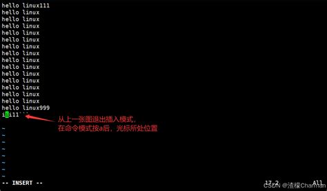 Linux基础开发工具—vim Csdn博客