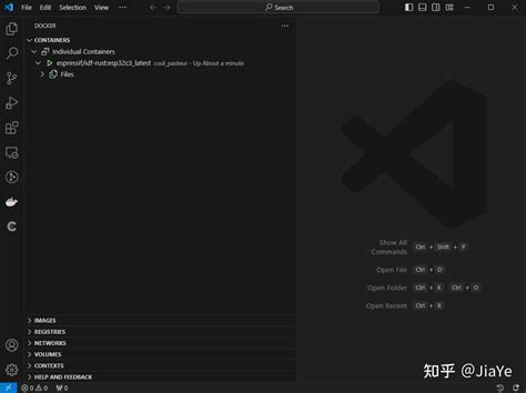 Esp Rust Docker Vs Code