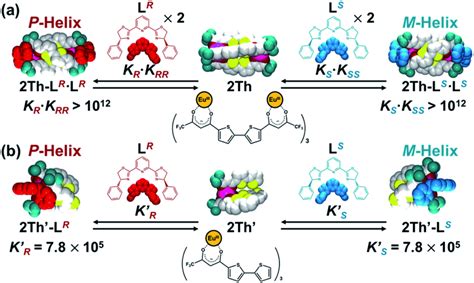 Self Assembly Formation Of A 2th And B 2th′ With Lr Left And That