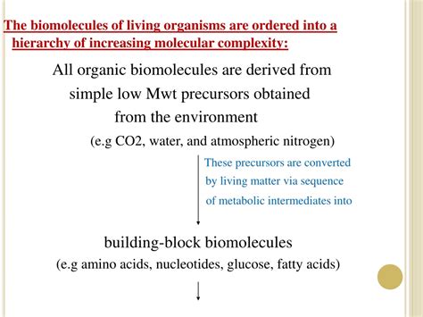 Ppt Bimolecular Hierarchy Powerpoint Presentation Free Download Id 8879593