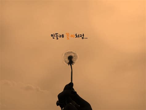 드림연구소 Ppt디자인 84 민들레 꽃씨자기소개 Ppt무료배경ppt템플릿 네이버 블로그