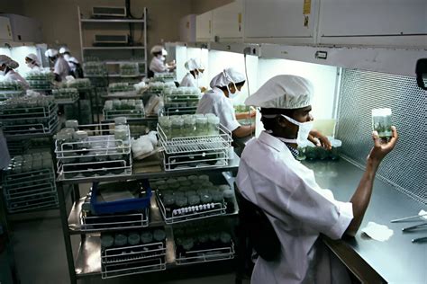 Master Of Science Biotechnology Gautam Group Of Colleges