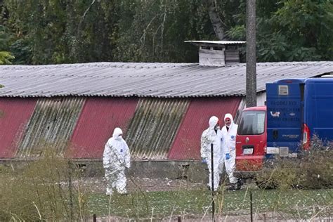 美國6旬翁成禽流感重症首例、體內病毒出現突變！cdc：風險仍低 國際要聞 全球 Nownews今日新聞