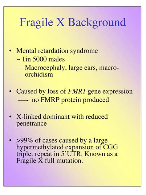 PPT Unusual Fragile X Case PowerPoint Presentation Free Download ID 4319773