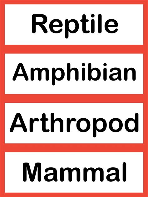 Characteristic Reproduce Behavior Eyes Ppt Download
