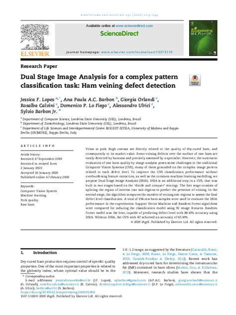 Pdf Dual Stage Image Analysis For A Complex Pattern Classification