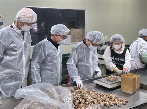 산림청 설명절 임산물 유통상황 점검가격 관리 강화 파이낸셜뉴스