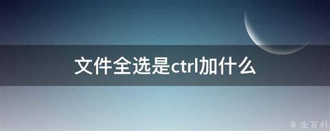 文件全选是ctrl加什么 业百科