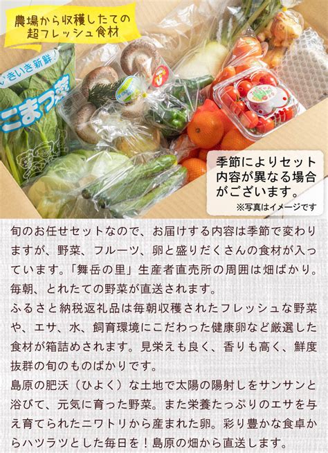【楽天市場】【ふるさと納税】直売所直送！≪野菜・フルーツ・卵≫ 旬のお任せ Aセット（野菜9～11種・フルーツ1種・鶏卵10個）【野菜セット