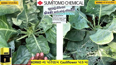 Hitesh Patel On Linkedin Field Activities