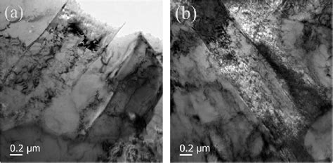 Morphologies Of Gb A Wm Cg And B Wm Ua Cg Download Scientific