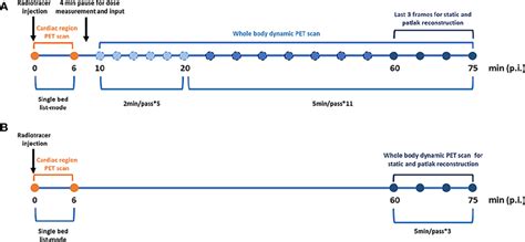 Imaging Protocols A Standard Dynamic Whole Body Patlak Parametric Download Scientific
