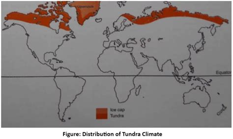 Antarctic Tundra Map