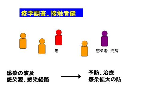 第41回医療及び公衆衛生従事者のための感染予防に関する研修会 『結核菌の分子疫学的解析』
