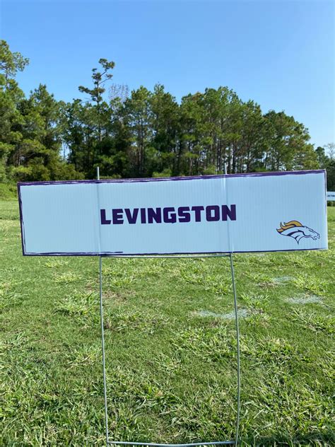 Levingstongroup Levingston Group Llc