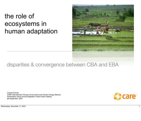 Ecosystem And Community Based Adaptation 2010 Ppt