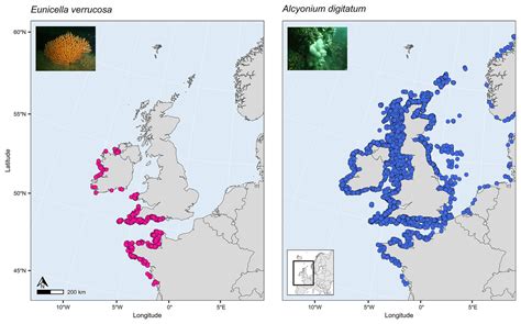 Predicting Habitat Suitability And Range Shifts Under Projected Climate