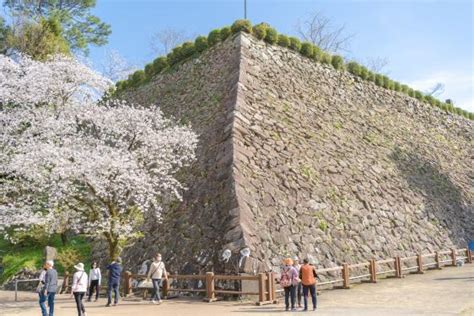 南郷城跡の桜 観光スポット 宮崎県公式観光サイトみやざき観光ナビ