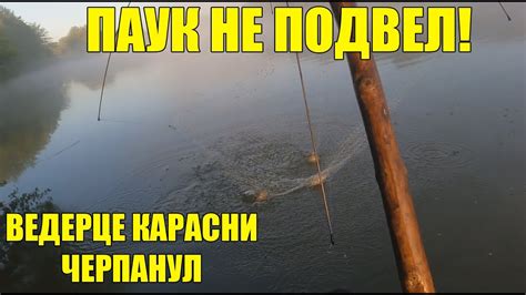 ПАУЧЕК НЕ ПОДВЕЛ НАБОМБИЛ ВЕДРО КАРАСЕЙ РЫБАЛКА НА РЕКЕ В СЕРЕДИНЕ