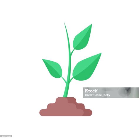 噴頭圖示平面設計綠色植物隔離在白色背景上向量插圖向量圖形及更多咖啡色圖片 咖啡色 園藝 圖示 Istock
